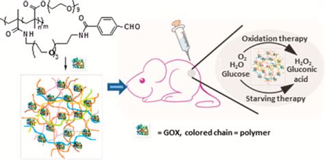 Glucose Oxidasepolymer Nanogels For Synergistic Cancer Starving And