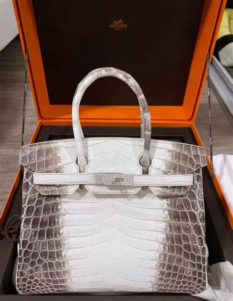 Hermes Birkin 30 Himalaya Bag Matte Niloticus Crocodile With Diamonds