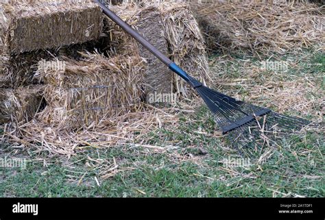 Fourche Foin Paille Fauche Banque De Photographies Et Dimages à Haute Résolution Alamy