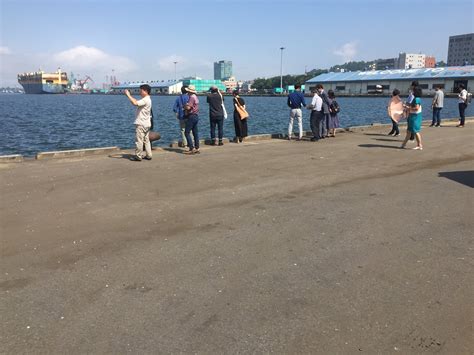 바른등대지기 경제학자이며 정의를 강조하고 있는 유승민 새누리당 의원이 한국 경제의 위기 상황을 강조합니다 10일 대전 Kaist한국과학기술원에서 국회와 과학기술