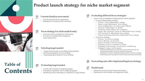 Product Launch Strategy For Niche Market Segment Powerpoint Presentation Slides Ppt Powerpoint