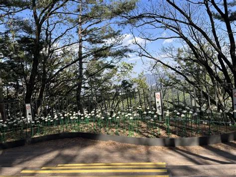 Beste Wandelingen En Routes In Suseong District Alltrails