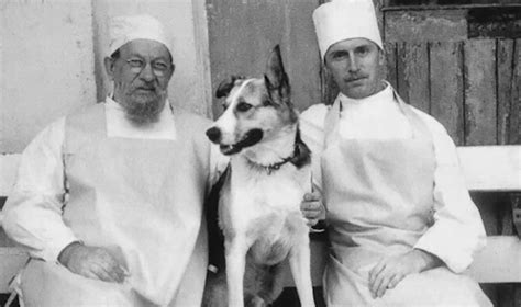 Как снимали фильм Собачье сердце кадры со съемок и 17 интересных фактов о фильме