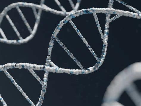 What Is High Throughput Sequencing