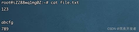 【linux命令200例】cat命令的妙用和实战技巧 阿里云开发者社区