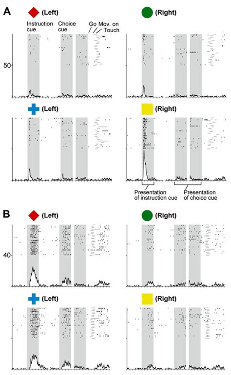 Two Examples Of Neurons In The Prefrontal Cortex Selective For Visual Download Scientific