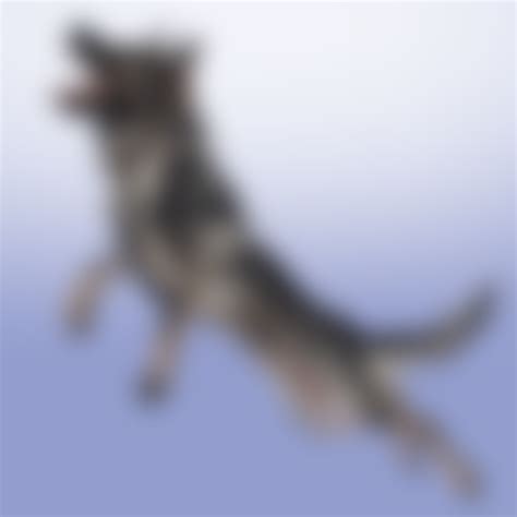 офчарка S K I D Boosty