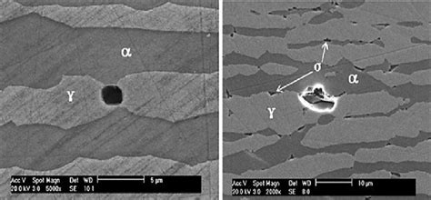 Sem Morphologies After Corrosion Attack A Metastable Pit Formed On