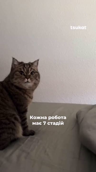 Alexander Berezovskyi On Linkedin Work Job Development Programming Friday Weekend Team