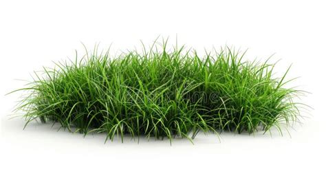Isolated Green Grass Turf With Alpha Mask For Easy Object Isolation