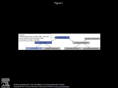Longer Time Interval Between Semen Processing And Intrauterine
