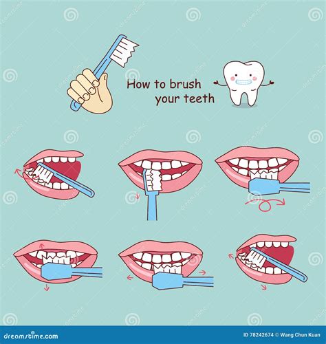 Teeth Adontia Stock Illustrations 229292 Teeth Adontia Stock