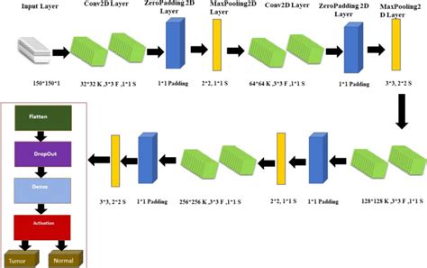 A Bio Inspired Convolution Neural Network Architecture For Automatic
