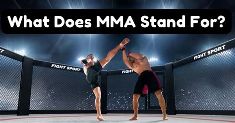 What Does Mma Stand For Martial Arts Culture
