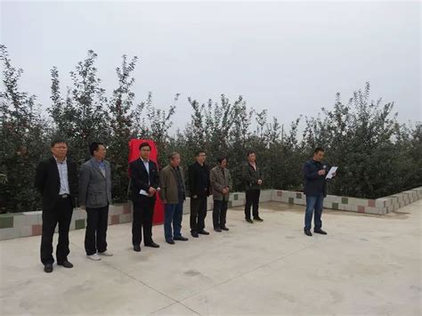 陕西省苹果产业技术创新战略联盟和宝鸡苹果研究院在西北农林科技大学千阳苹果试验示范站挂牌成立
