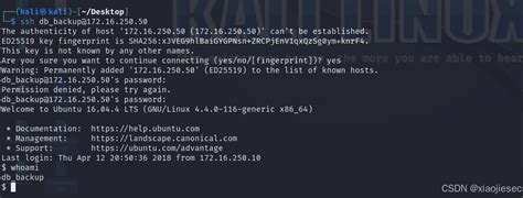 第137天：横向移动 Linuxssh工具杂项andlinux靶场环境搭建linux横向移动靶场 Csdn博客