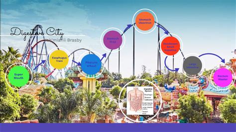 Digestive System Theme Park By Jahmianii Brasby On Prezi