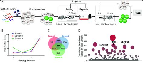Crispr Screen