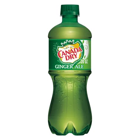Schweppes Ginger Ale Oz Btl Delivered In As Fast As Minutes Snap Ebt Eligible Gopuff