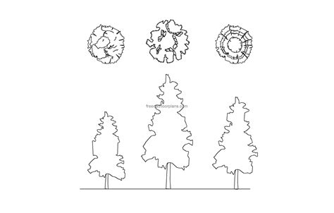 Free Trees Dwg Cad Blocks In Plan And Elevation 43 Off