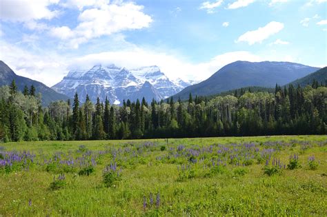 2 무료 북 서 캐나다 And 캐나다 이미지 Pixabay