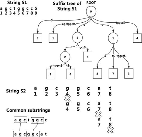 Figure 1 From Multiple Sequence Alignment Based On A Suffix Tree And