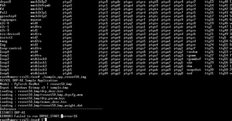 Rzv2l Drpai Start Issue Forum Renesas Rz Mpu Renesas Engineering Community