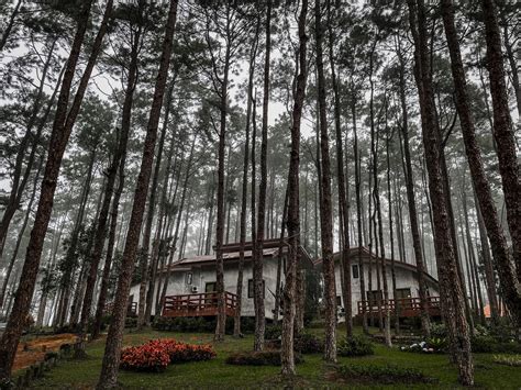 🔥💧เปิดจองฤดูฝน 67 มิ ย ก ย 💧🔥 เป็นฤดูกาลที่มีเสน่ห์ที่สุดเลยค่ะ ป่าสนเขียว ๆ หมอกหนา ๆ