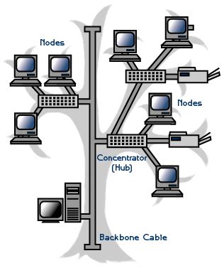 Network Topologies Itcwiki