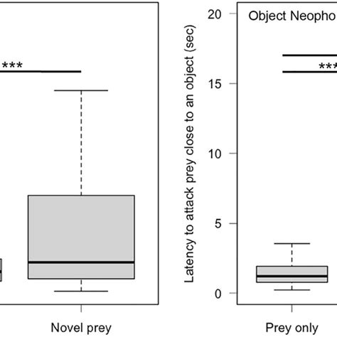 Individual Capture Latencies Towards Novel Stimuli In The Food Objects