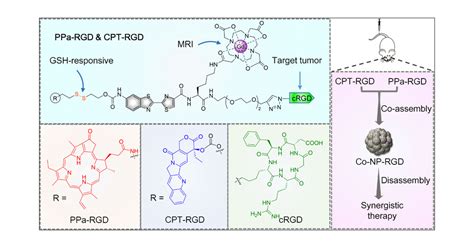 Controlling Disassembly Of Paramagnetic Prodrug And Photosensitizer Nanoassemblies For On Demand