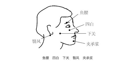 埋线疗法治百病三叉神经痛 凤凰网