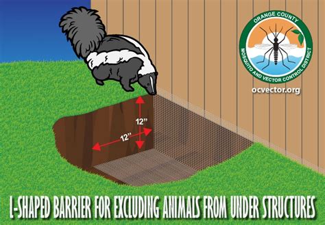Prevent Burrowing Animals Orange County Mosquito And Vector Control