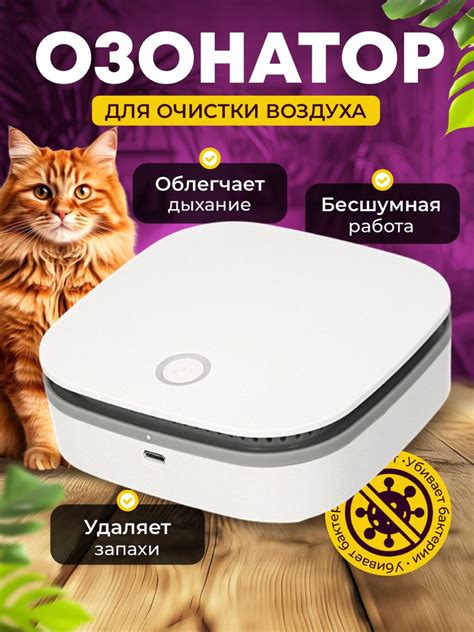 Озонатор ионизатор воздуха для дома бытовой Озонатор для дезинфекции и устранения неприятного