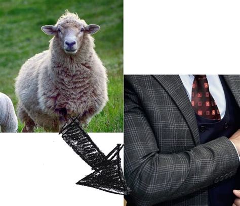 How Is Wool Made Into Fabric Sewguide