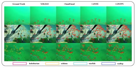 Awf Yolo Enhanced Underwater Object Detection With Adaptive Weighted