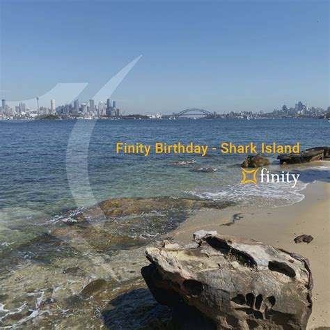 finity on linkedin every year we mark finity s birthday this year we