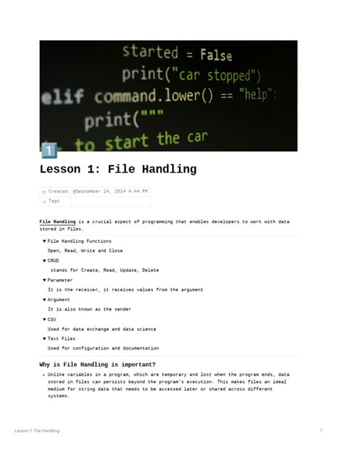 Lesson 1 File Handling Pdf Computer File Text File