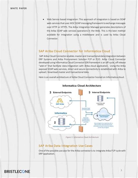 Sap Ariba Integration Using Informatica Docx
