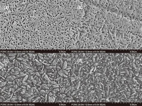 Field Emission Scanning Microscopy Fe Sem Micrographs Of Fractured