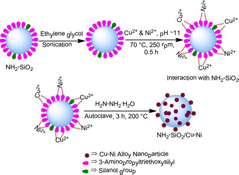Preparation Scheme Of The Nh2 Sio2 Cu Ni Nanocatalyst Download