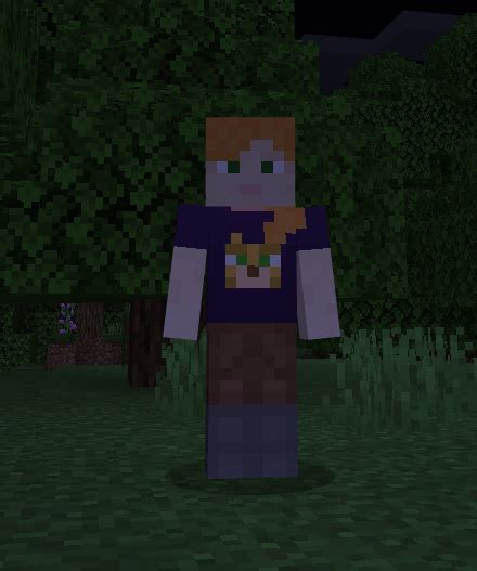 Bedrock Skin Does Not Show Up On Java Issue GeyserMC Floodgate GitHub