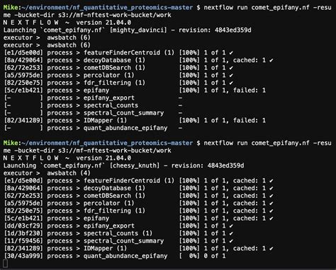 AWS Batch Job Running But Nextflow Reports Failed Issue 2090