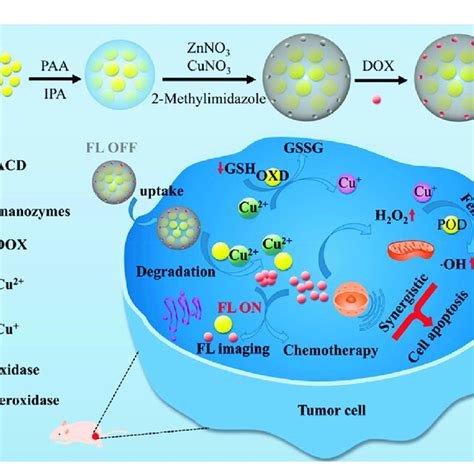 Schematic Illustration Of The Synergistic Effect Of Nanozymes In Download Scientific Diagram
