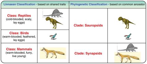 Welcome To Ck 12 Foundation Ck 12 Foundation
