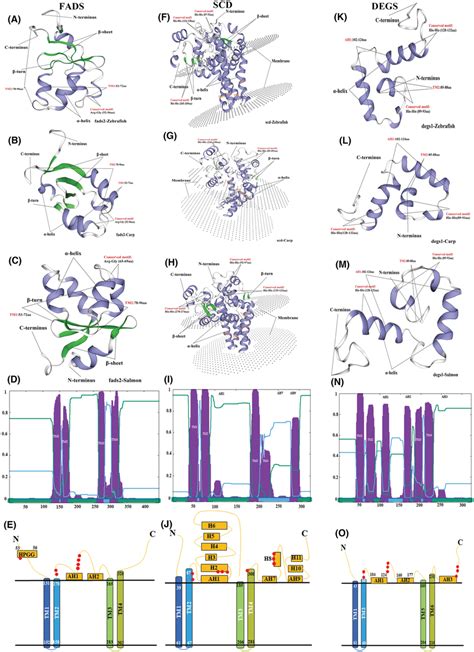 Crystal Structure And Topology Predictions Of Fads2 Scd And Degs1 In