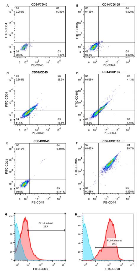 Magnetic Activated Cell Sorting Strategies To Isolate And Purify