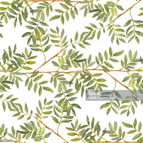그린 러커스 녹지 컬렉션 원활한 패턴 수채화 손으로 그린 예술 예술적 삽화 0명에 대한 스톡 벡터 아트 및 기타 이미지 0명 결혼식 계절 Istock
