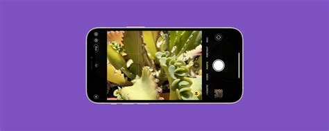 Iphone 13 Macro Photography Guide And Macro Settings