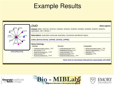 PPT BioGRID Biological General Repository For Interaction Datasets PowerPoint Presentation